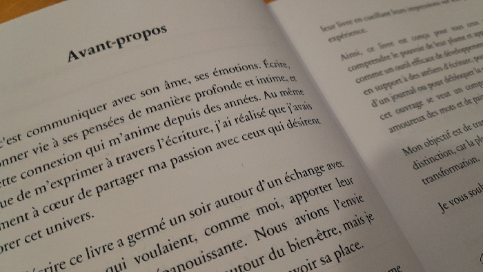 Préambule, introduction, prologue, préface et avant-propos : lequel ...